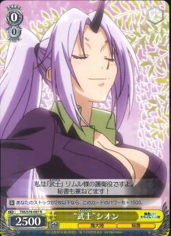 TSK/S70-007 “武士” シオン – Sleever Queen