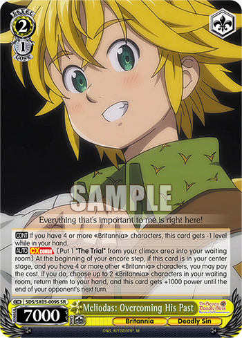 Meliodas: Overcoming His Past(SDS/SX05-009S) – Sleever Queen